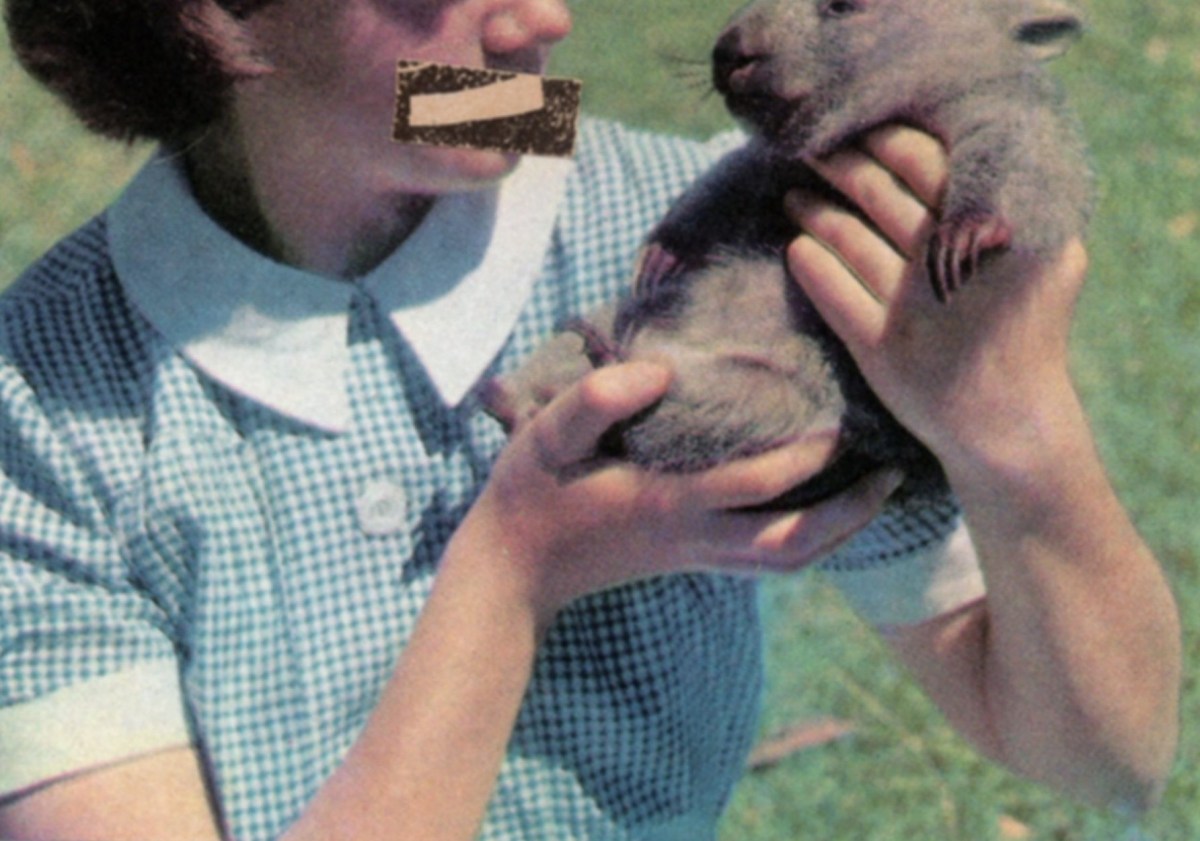 Matthew Lippman – The Glacier